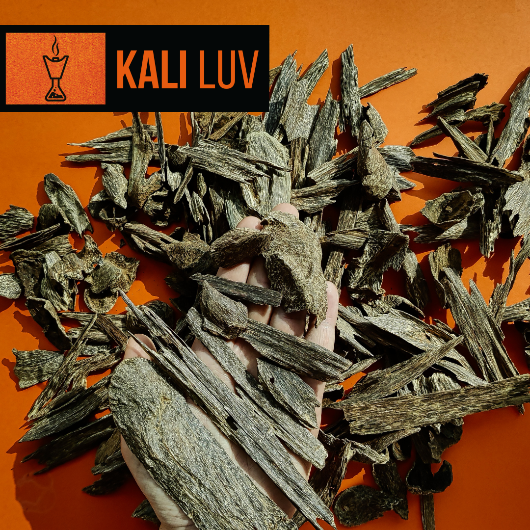 Kali Luv – The Oud Lab